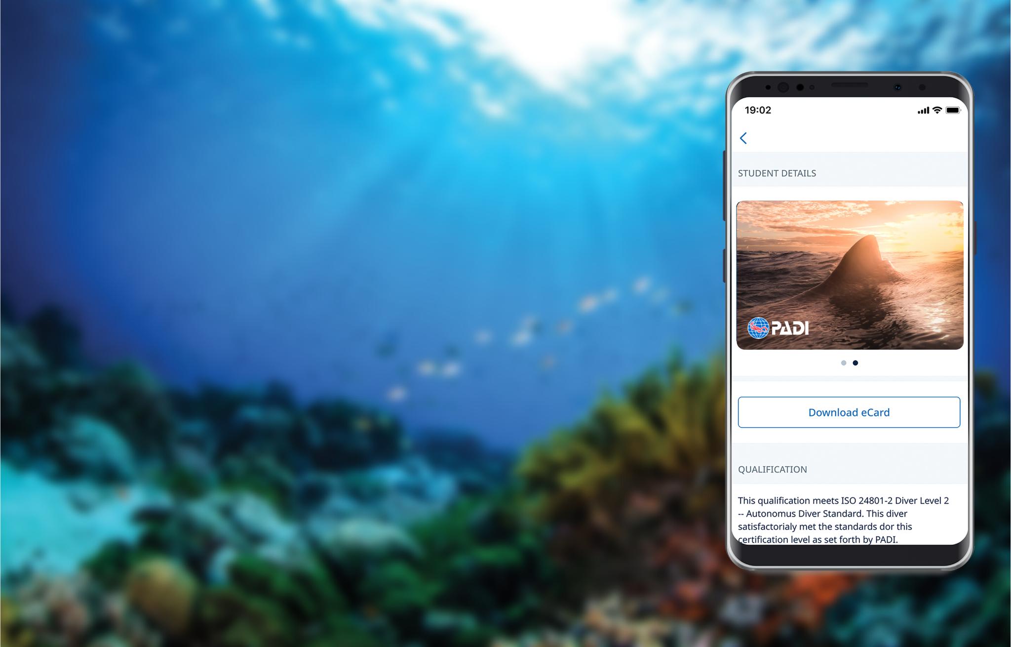PADI ECards An FAQ For PADI Members PADI ECards An FAQ For PADI Members