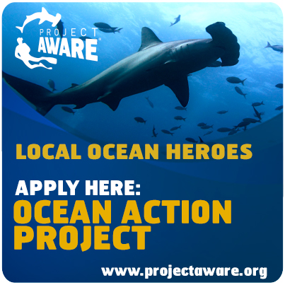 Are you an Ocean Hero? Apply to the Ocean Action Project - PADI Pros
