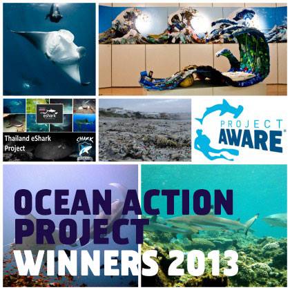 Ocean Action Project Winners Announced - PADI Pros