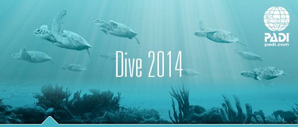 dive_headerpk - PADI Pros