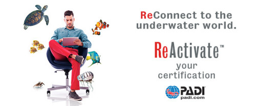 PADI ReActivate™ FAQ Part 1: Program Details - PADI Pros