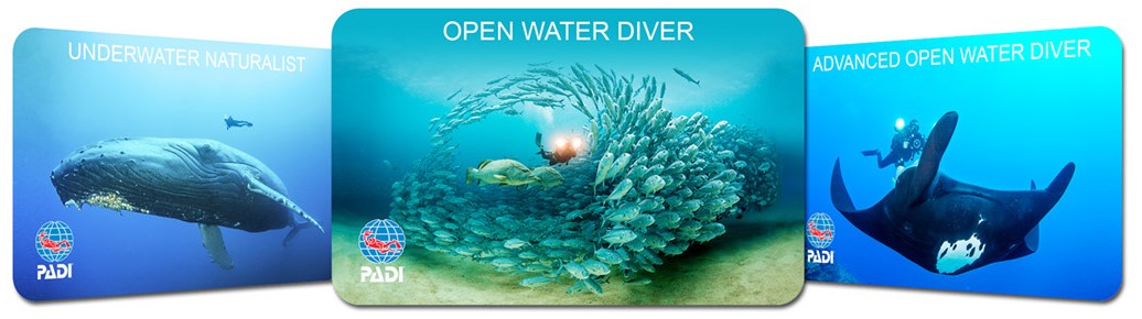 New Replacement Card Series Features Moments Only Divers Get to ...