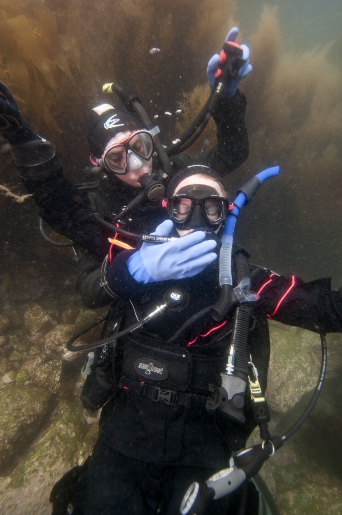 Training Insights... Rescue Diver Part 7: What is a Rescue Diver ...