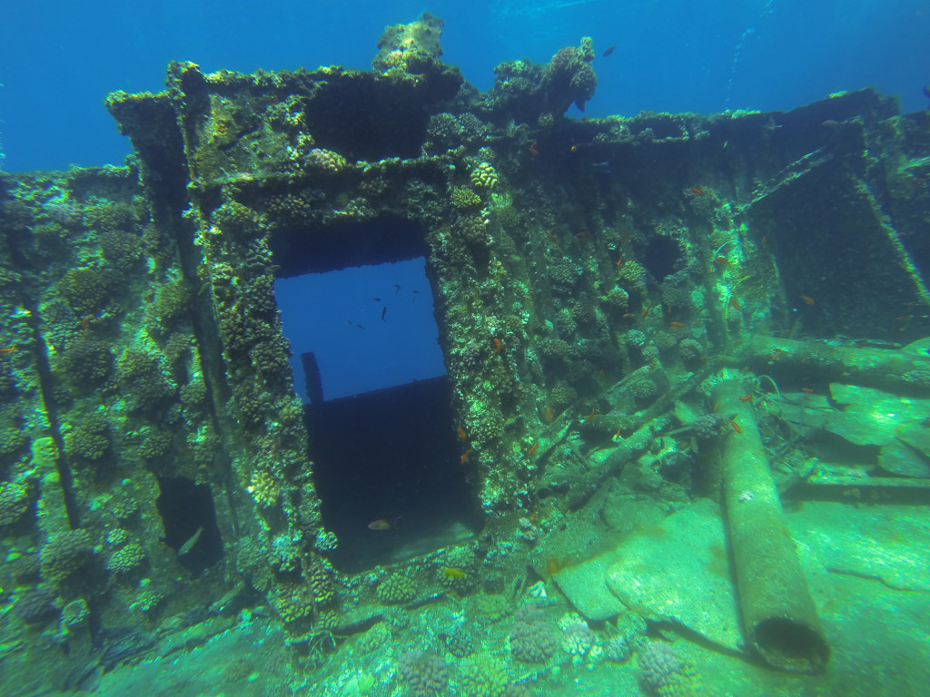 My Top 3 EMEA Dives – Part 1: Million Hope Wreck (Guest blog by ...