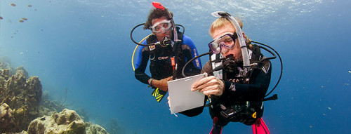 Plan the Dive - Dive the Plan with the PADI Skill Practice and Planning ...