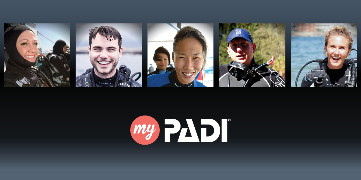 Are You Ready to take the Next Step in your Professional Development ...