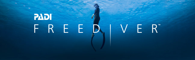 Is Freediver Right for You? - PADI Pros