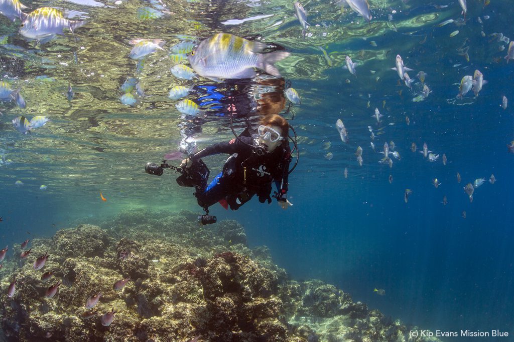 PADI Joins Forces with Mission Blue to Help Protect the World’s Ocean ...