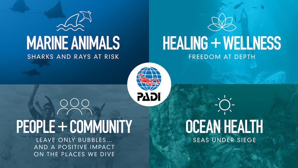 PADI Joins Forces with Mission Blue to Help Protect the World’s Ocean ...