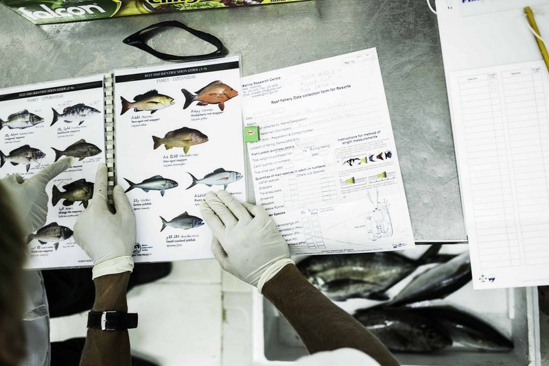 To eat or not to eat - PADI Pros