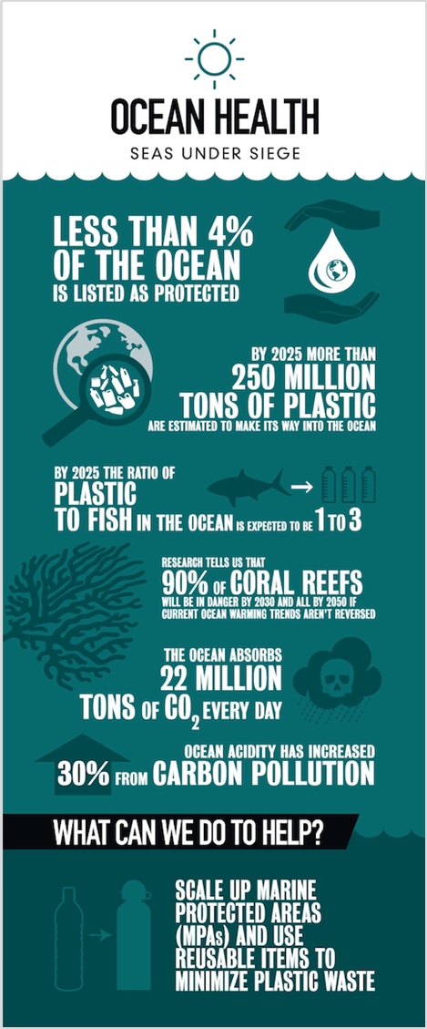 Ocean health - PADI Pros