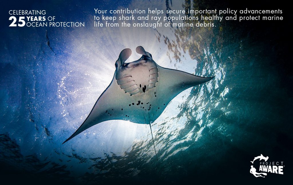 A New Wave of Ocean Protection - PADI Pros