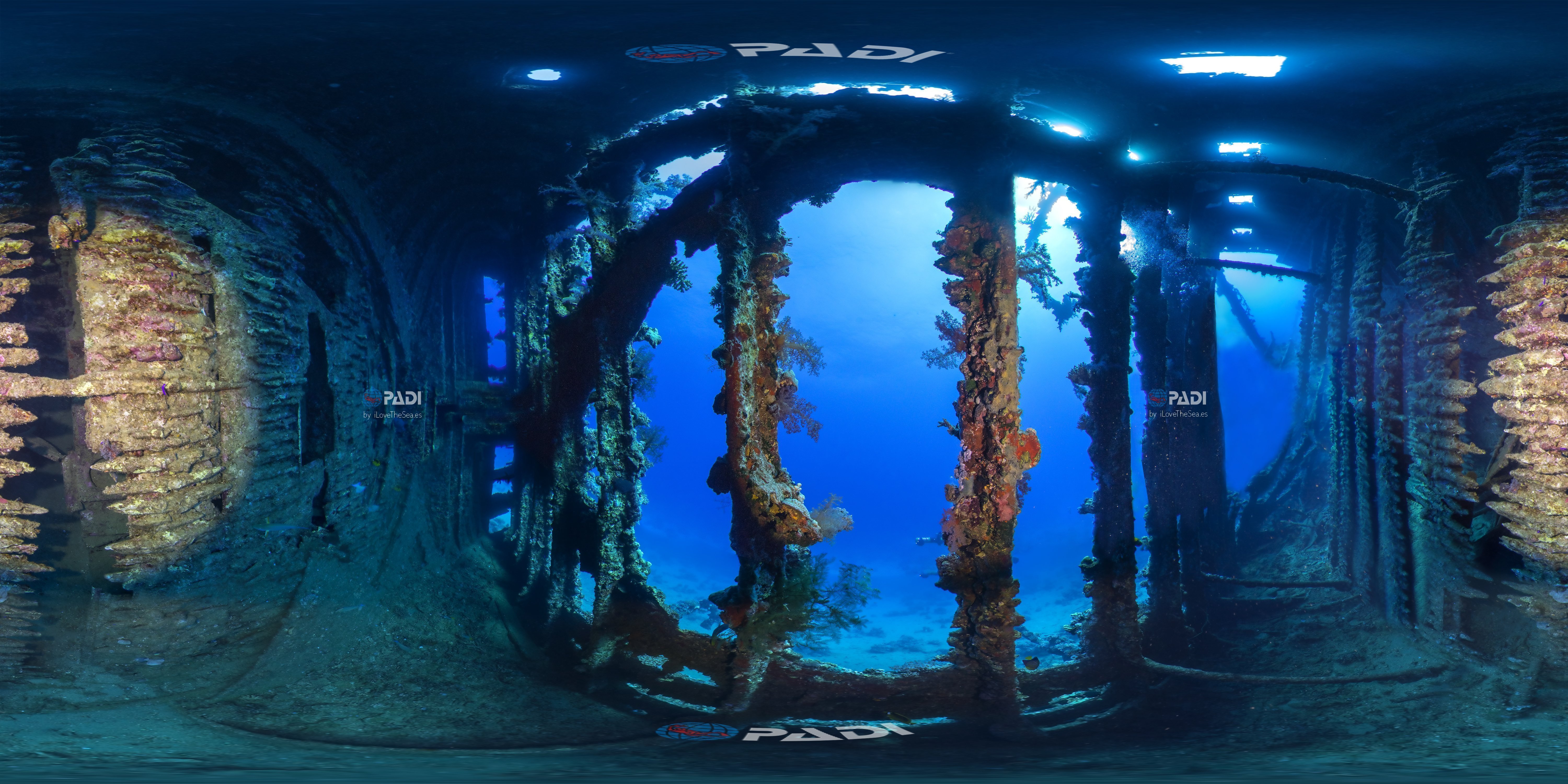 Using Virtual Reality in your dive store - PADI Pros