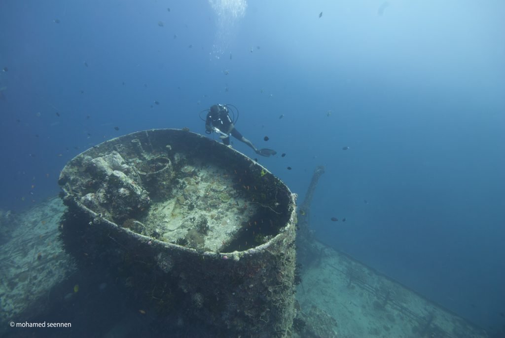 From Doomed Voyager to Victorious Wreckage - PADI Pros