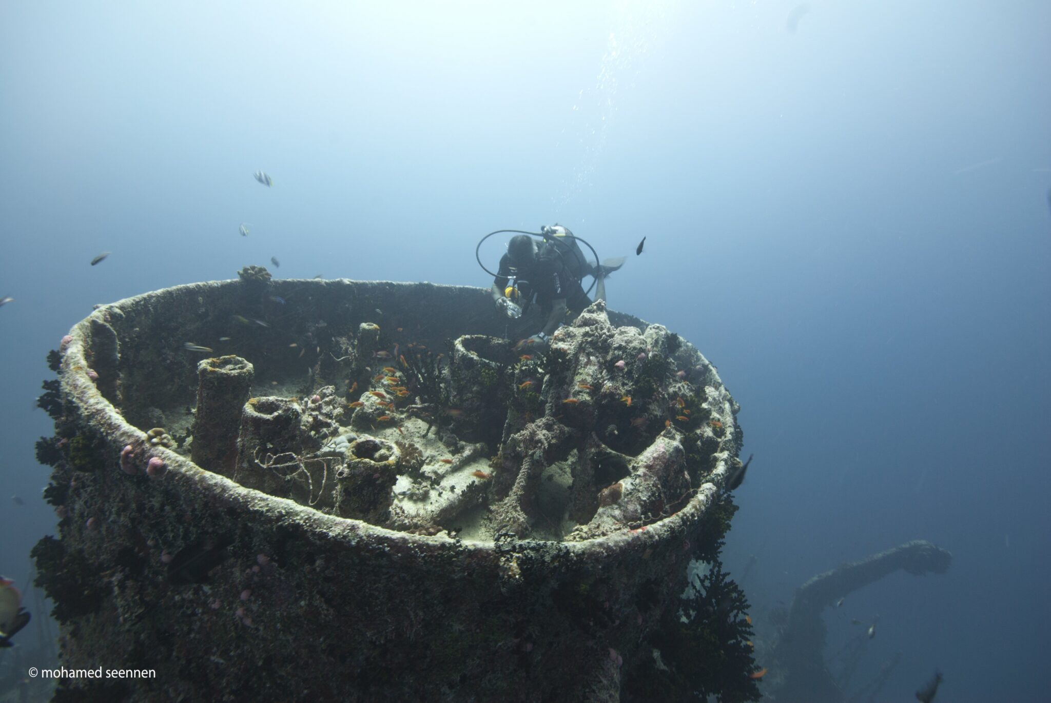 A diver during an excursion to the wreck of MV Victory. PHOTO - MOHAMED ...