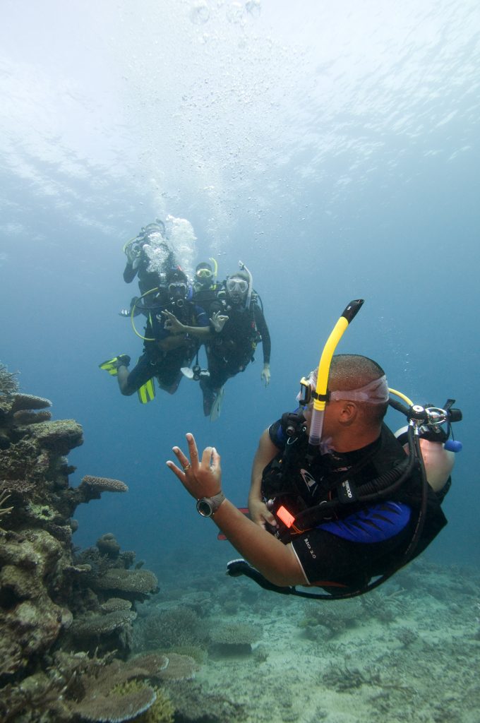 7 continents and 5 oceans; Exploring the world as a PADI Divemaster ...