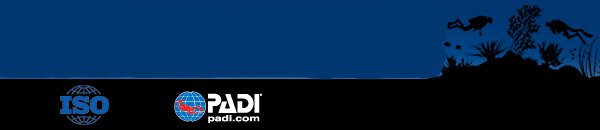 Стандарты ISO и ГОСТ Р ИСО в дайвинге - PADI Pros