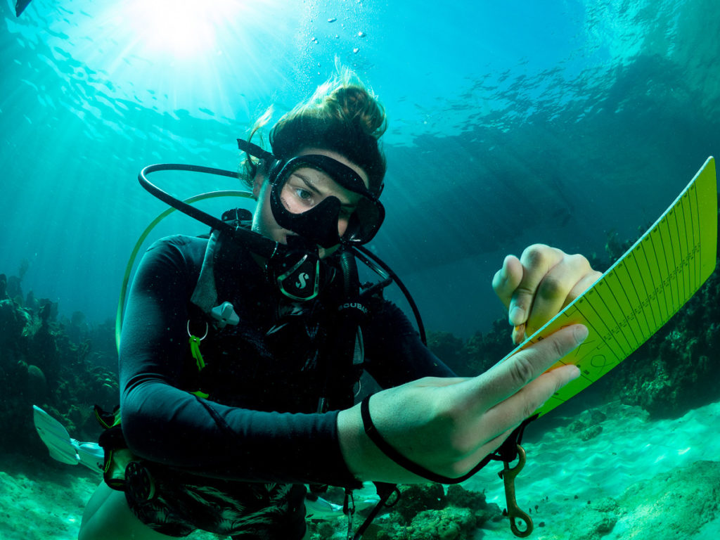 Passionate Female Instructors Doing Great Things for Conservation