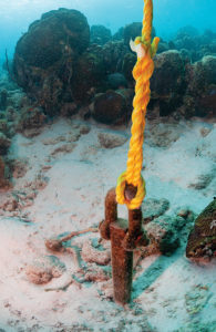 Conducting CESA - PADI Pros