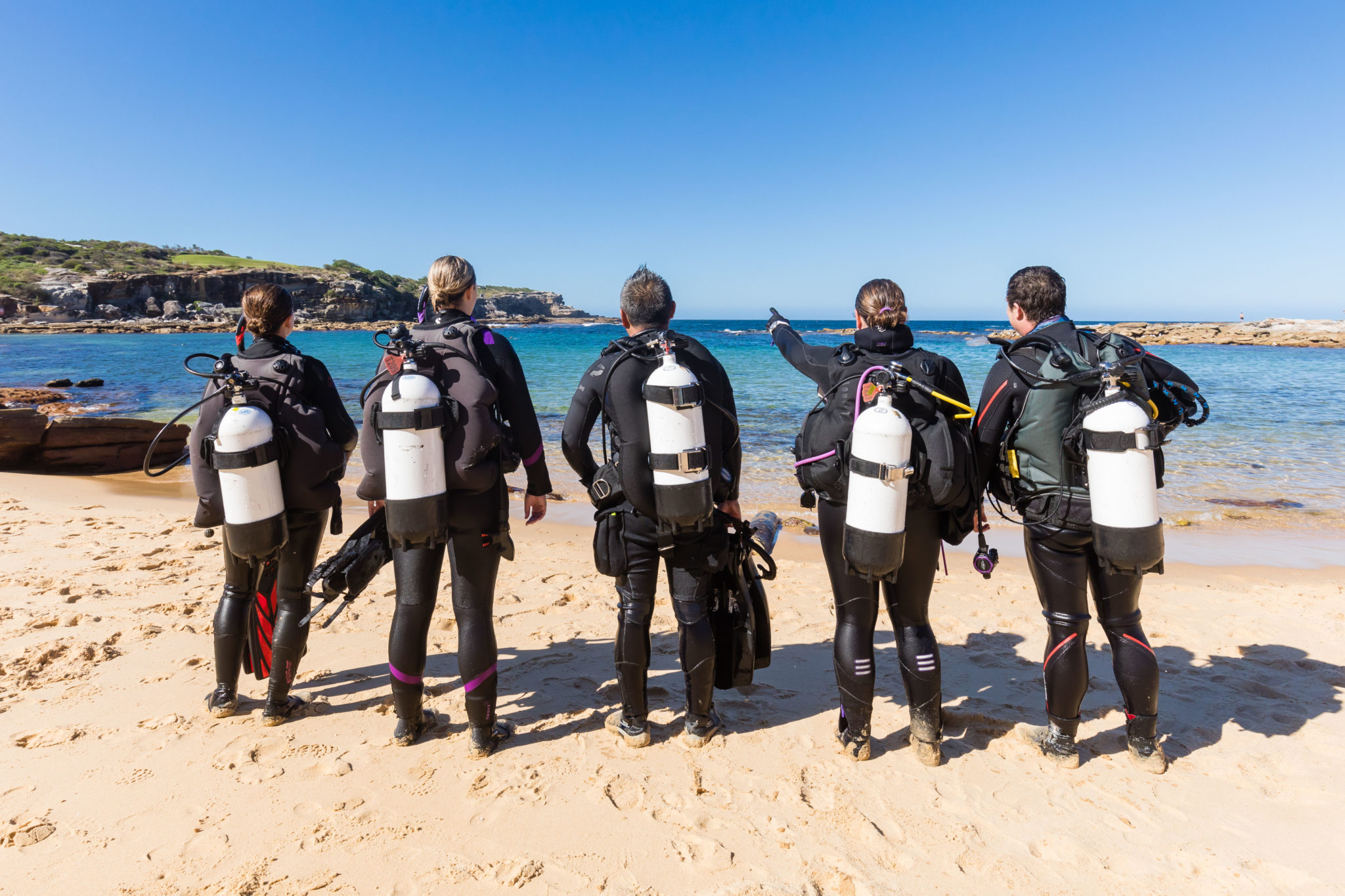 Sign up for 2019 Course Director Preparatory Course - PADI Pros