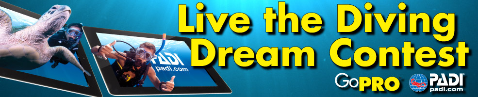 PADI Live the Diving Dream Contest (Asia Pacific) - Just two months to ...