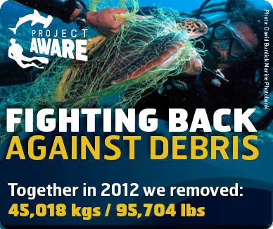 Congratulations to Project AWARE Dive Against Debris Volunteers - PADI Pros