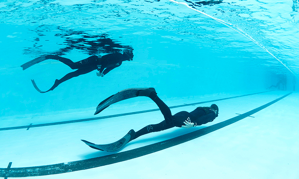 PADI Freediver Programme comes to New Zealand - PADI Pros