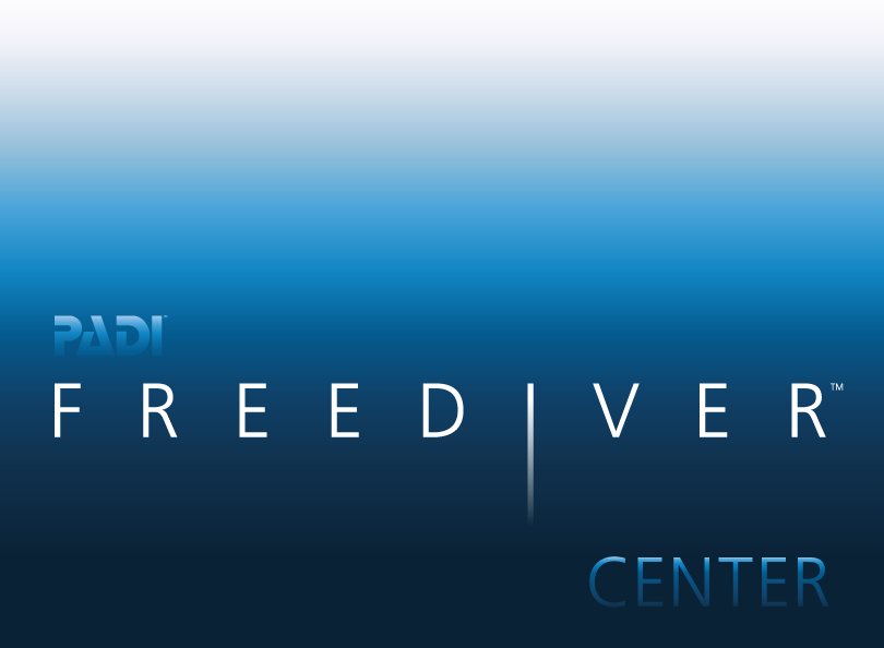 FD_Decal_Final_11.25x8.25_FullColor - PADI Pros