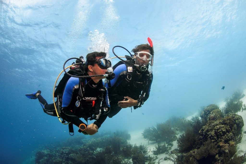 image - PADI Pros