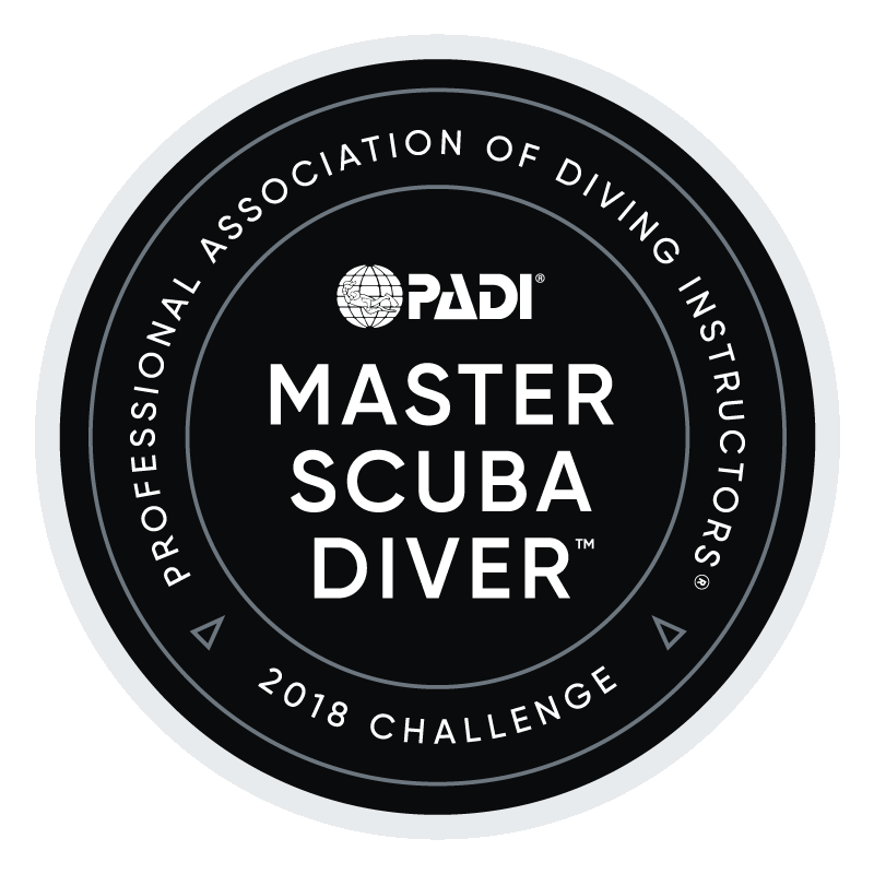 msd-badges-english_blackblack - PADI Pros