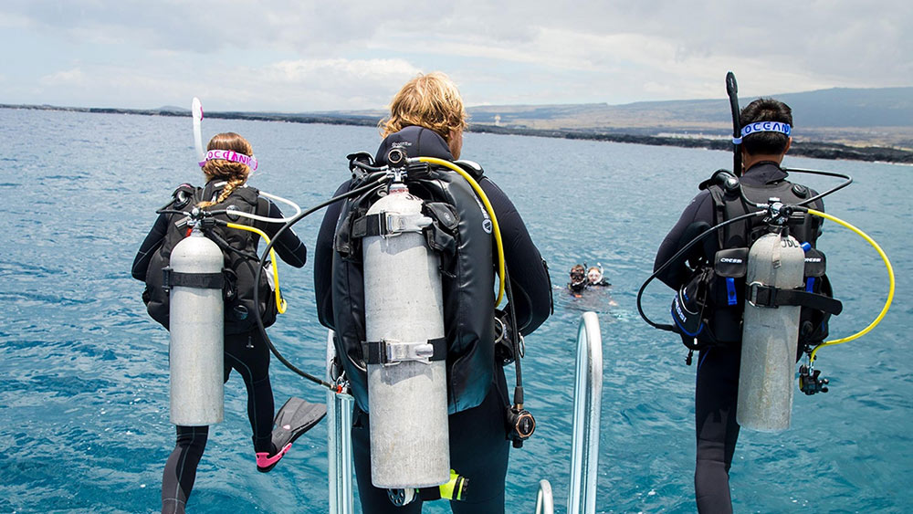Crossing over dive leaders to PADI Professionals - PADI Pros