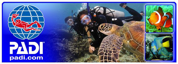 PADI Rescue Workshops - PADI Pros