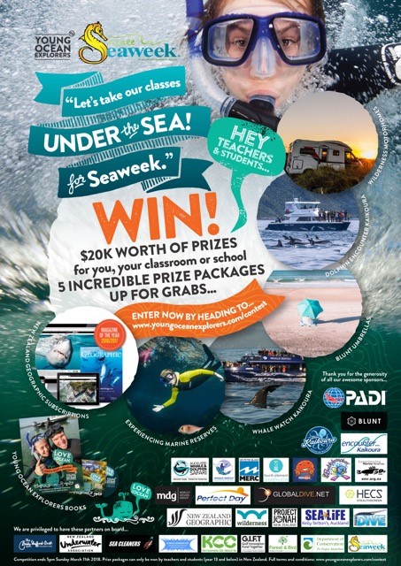 Young Ocean Explorers and NZAEE Seaweek Contest - PADI Pros