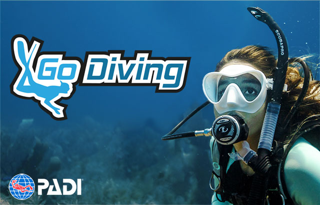 Go Diving 2020 - PADI Pros