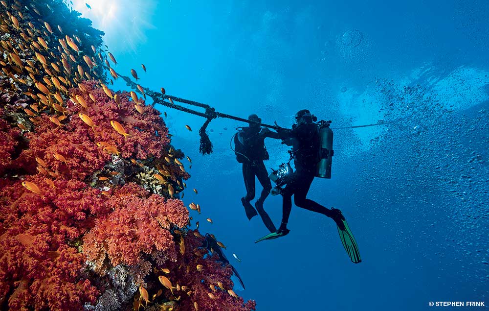 Protect Yourself with Dive Accident Coverage - PADI Pros