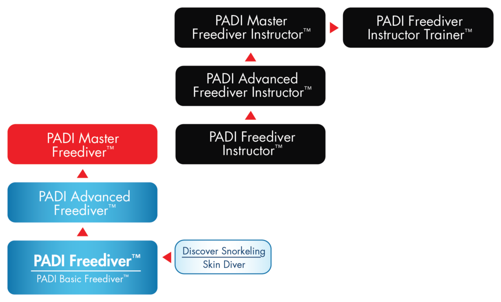 PADI Freediver - Coned Flow Chart - Freediving - PADI Pros
