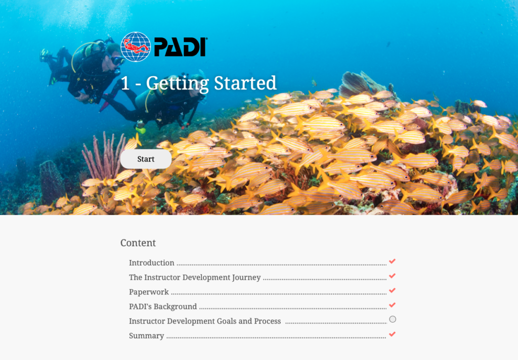 Course Directors Share Their Feedback on PADI IDC eLearning - PADI Pros