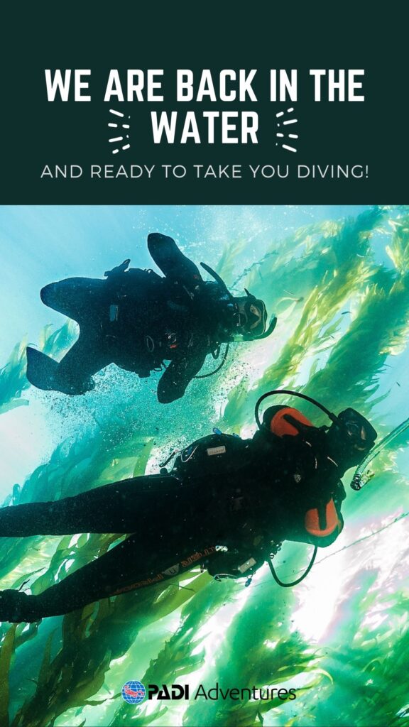 PADI Adventures App Promotional Toolkit - PADI Pros