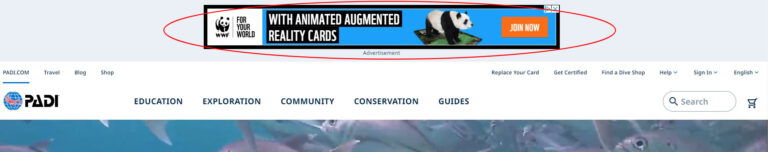 What Is Paid Digital Marketing and When Should I Use It? - PADI Pros