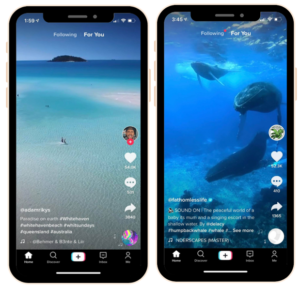 Tik-Tok-FYP - PADI Pros