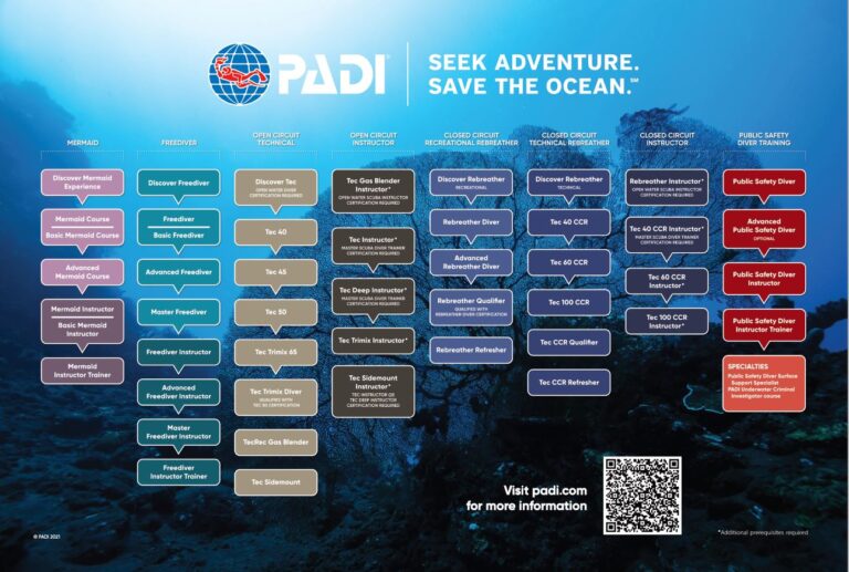 Flowchart1 - PADI Pros
