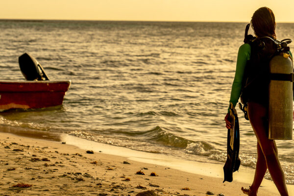 Download the new PADI App - PADI Pros