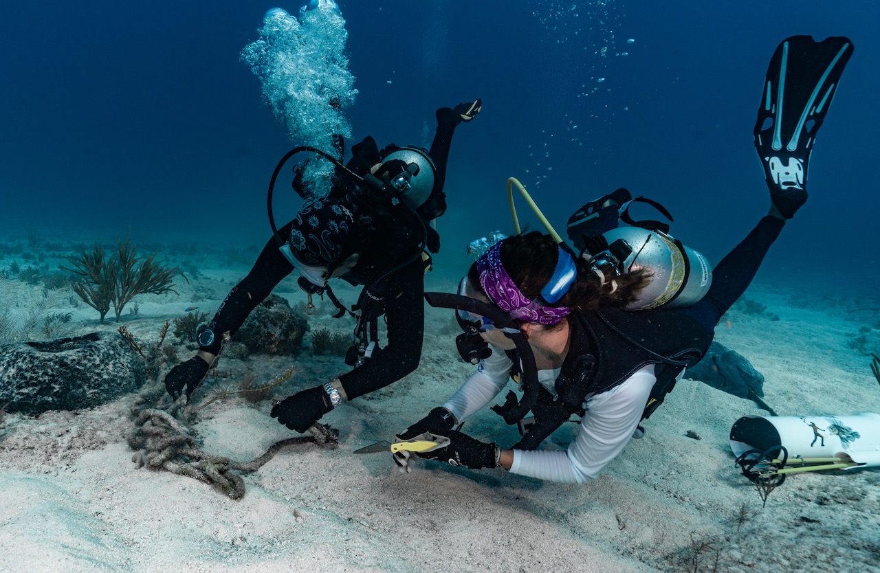 Your Participation This AWARE Week Will Turn the Tide on Plastics ...