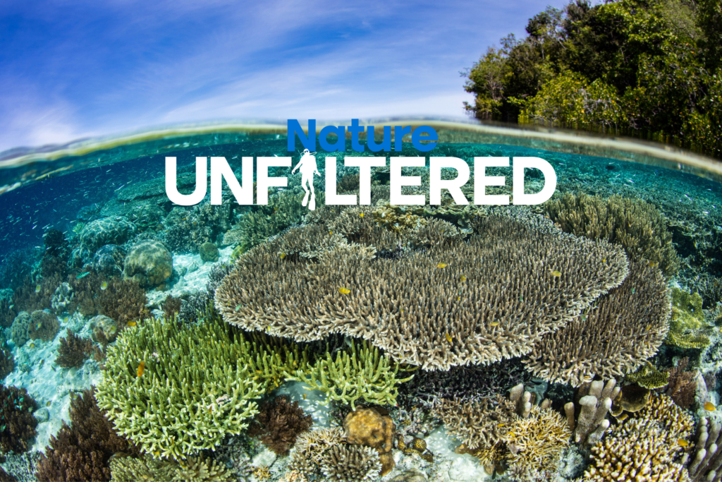 La campaña PADI Live Unfiltered (Vive sin filtros)