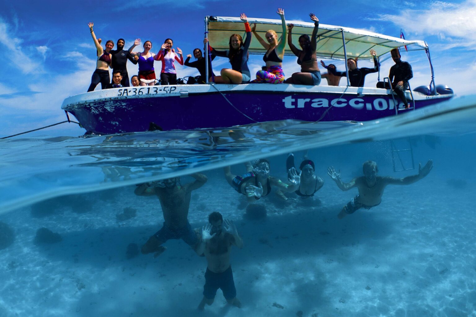 PADI AWARE Community Grant Program: Everything You Need to Know to ...