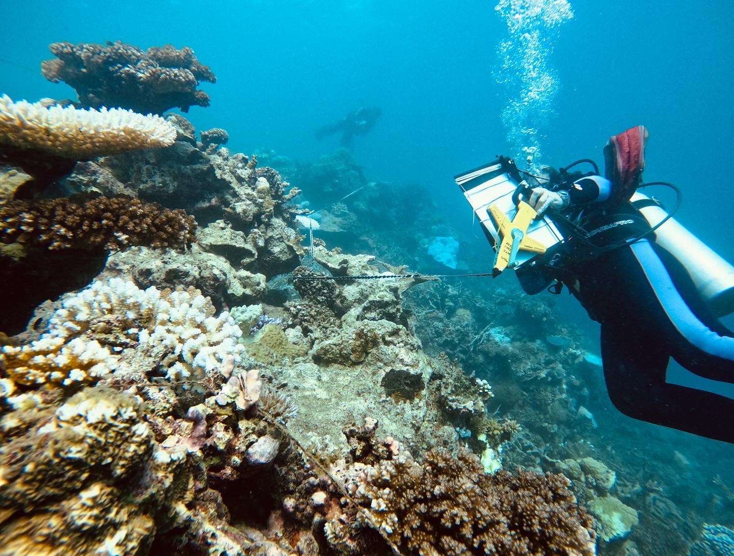 How to Put Your Technical Divers to Work for the Environment - PADI Pros