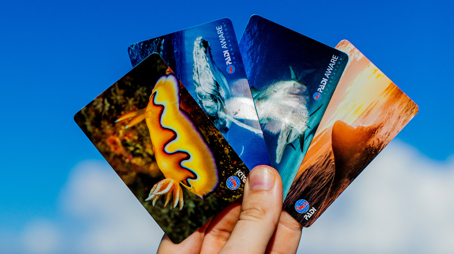 PADI eCards: An FAQ for PADI Members