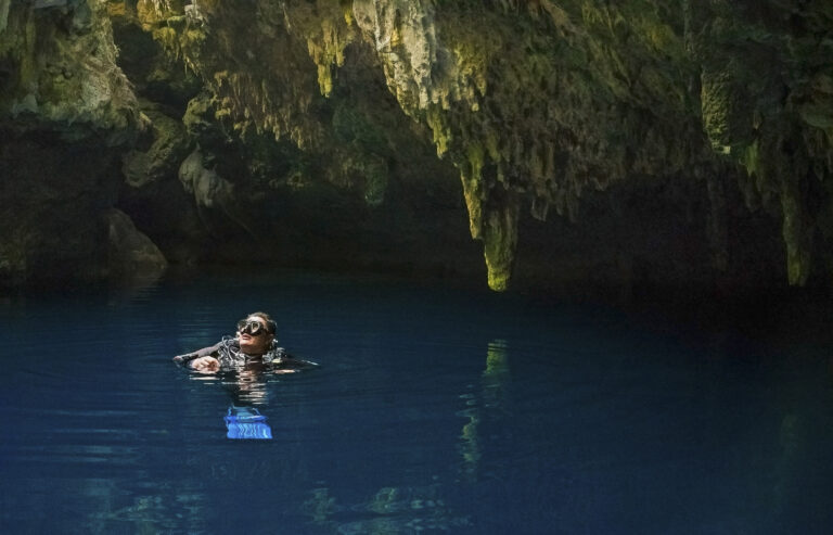 How & Why to Become an Adaptive Service Facility - PADI Pros