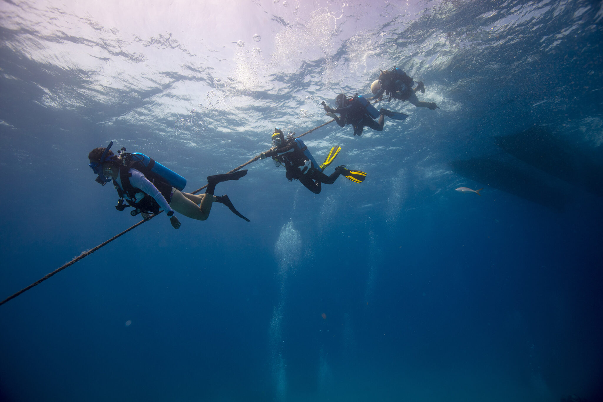 Breaking Down Barriers on PADI Diversity in Diving Day