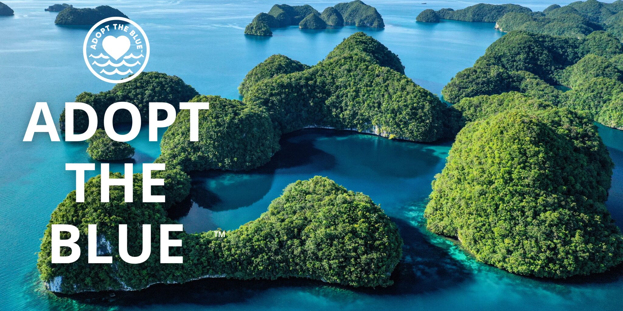 Adopt the Blue Banner / Header - PADI Pros